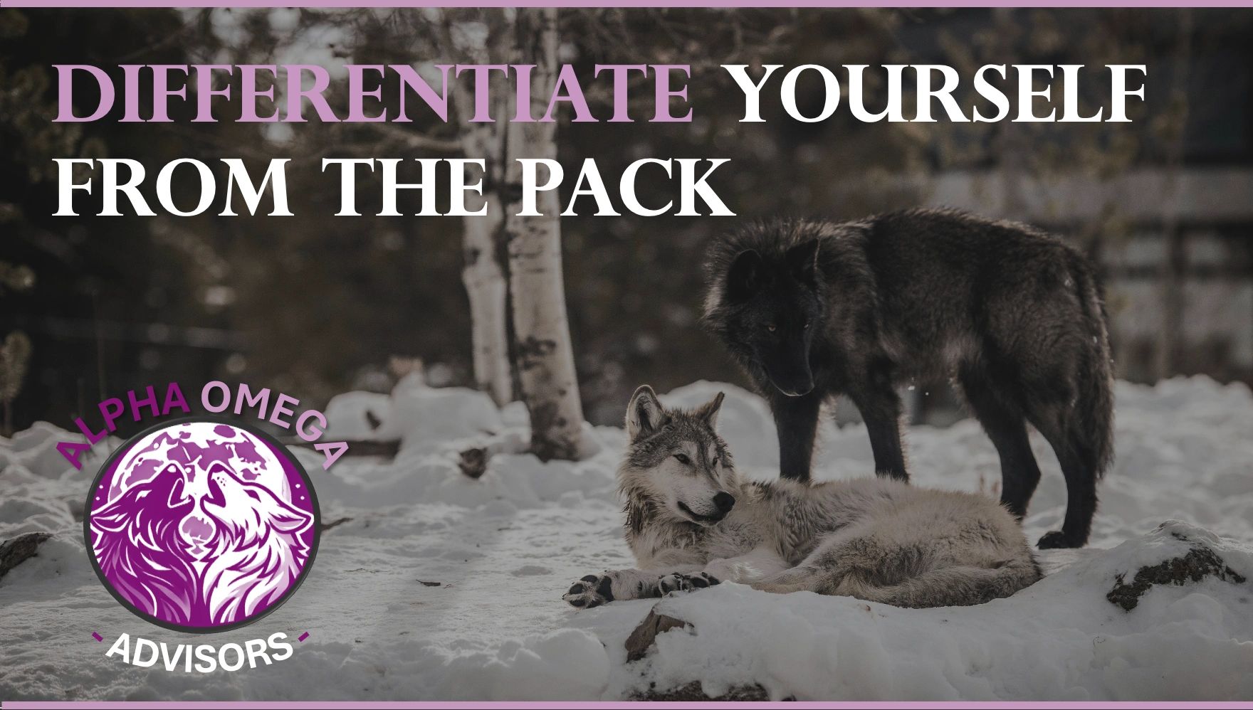 Innovative Partner Ecosystem Consulting and Advisory